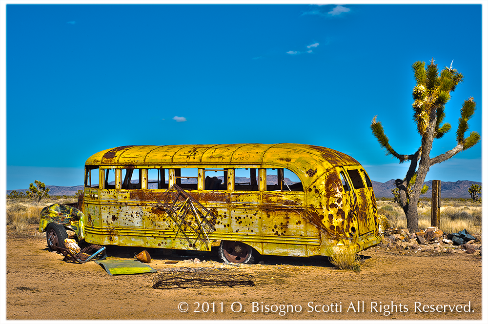 Mojave Bus, Photography by O. Bisogno Scotti