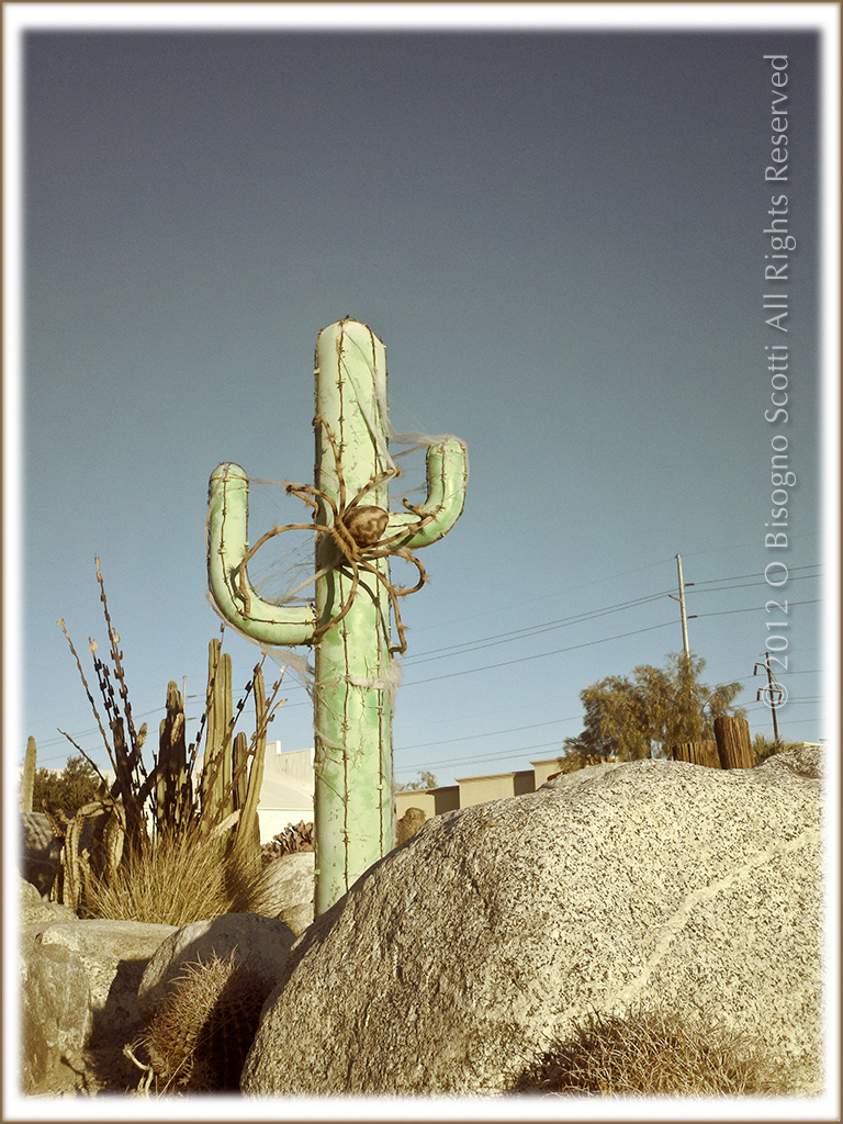 Droid Madness in North Palm Springs, Photography by O. Bisogno Scotti