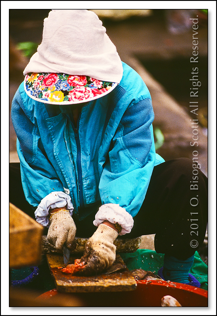 Woman Cleaning Fish, Photography by O. Bisogno Scotti